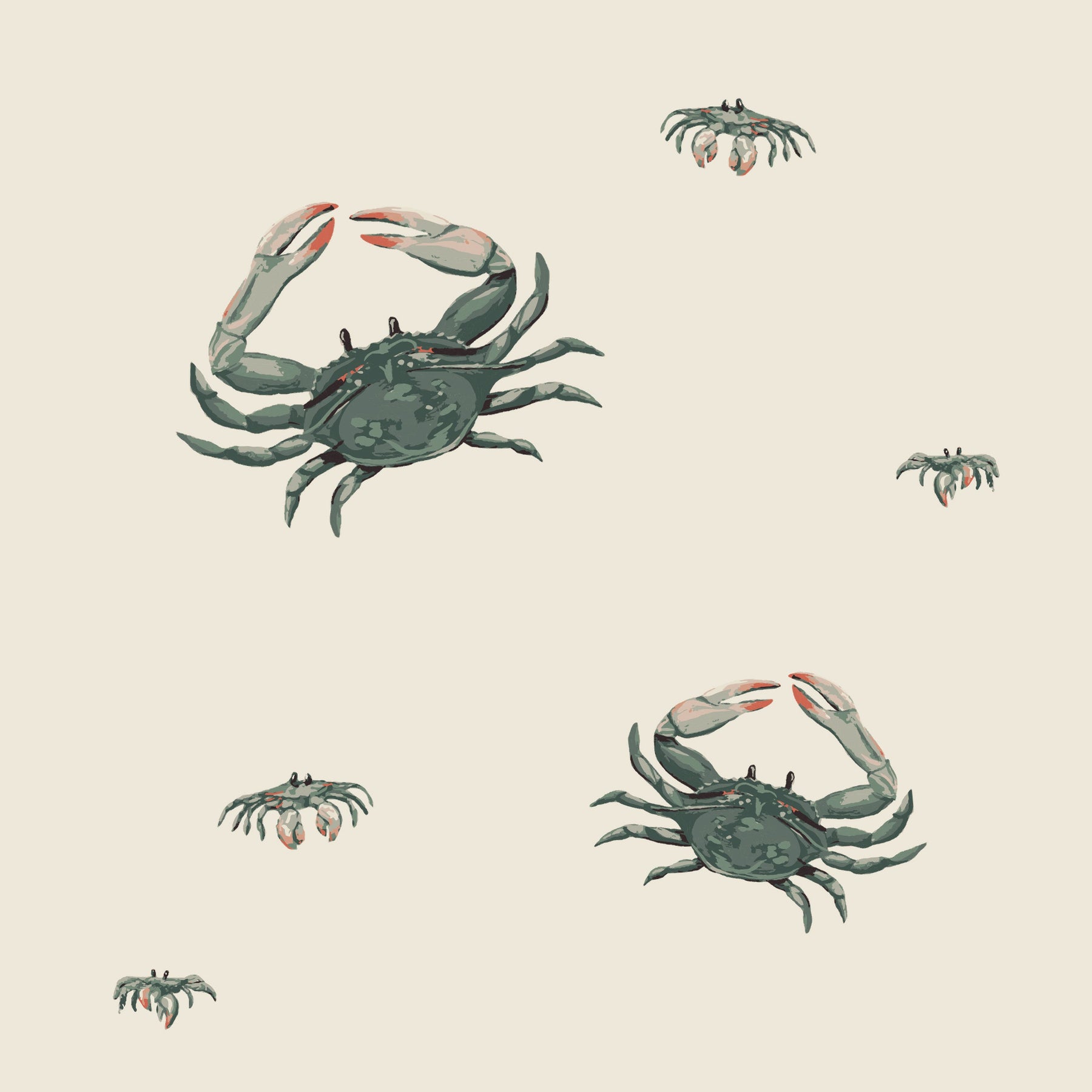 Coastal Crab Print – MILKBARN
